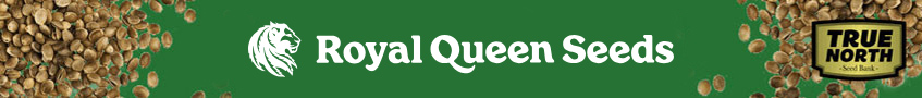 Buy Royal Queen Seeds Online | Premium Cannabis Genetics